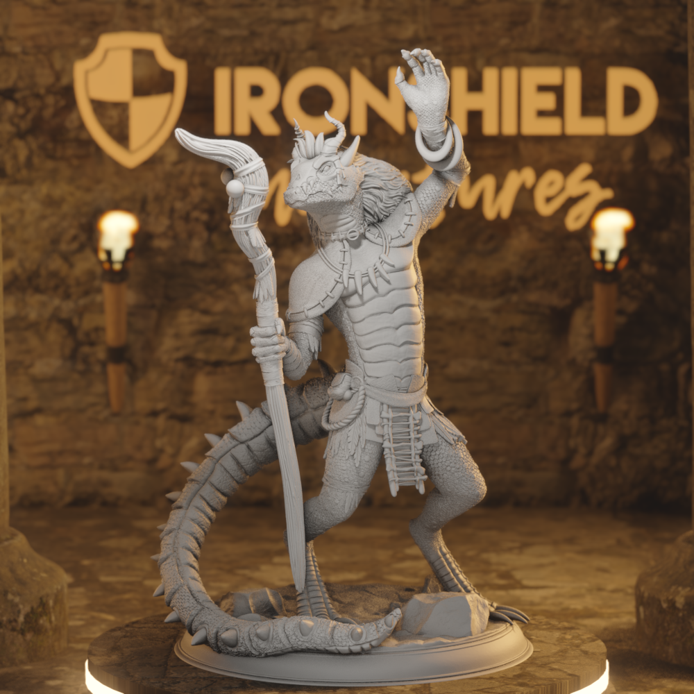 Dragon Pact Starter Campaign Set | DnD Miniatures Bundle – IronShield Army